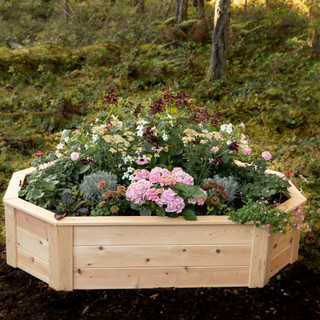 Natural Cedar Octagon Raised Beds | Eartheasy.com