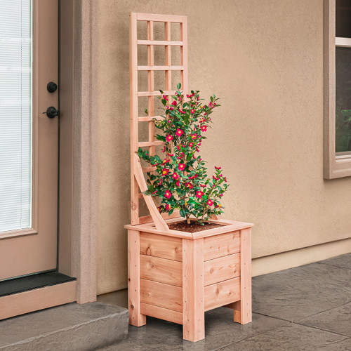 Natural Cedar Raised Planter Box with Trellis - Eartheasy