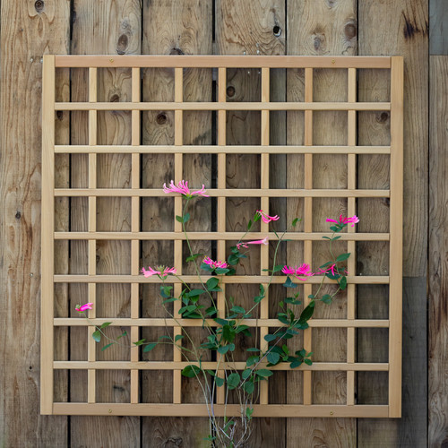 Natural Cedar Garden Wall Mounted Wood Trellises - Eartheasy