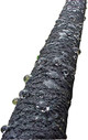 Tree Watering Ring Soaker Hose - Eartheasy