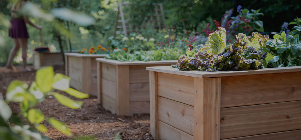 Eartheasy.com | Solutions for Sustainable Living