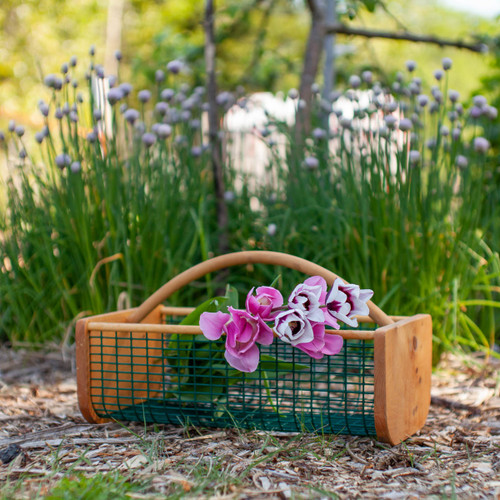 How to Create a Balcony Garden – Eartheasy | Eartheasy