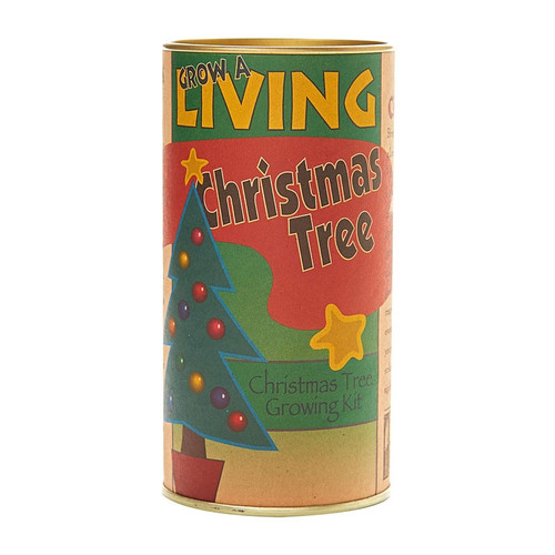 Christmas Tree Grow Kit | Eartheasy.com