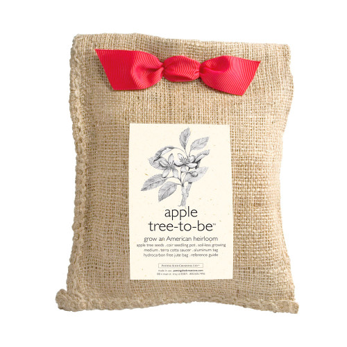 Apple Tree to Be Seeds Kit - Eartheasy