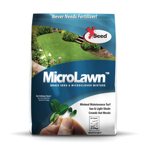 How to Grow Microclover – Eartheasy | Eartheasy