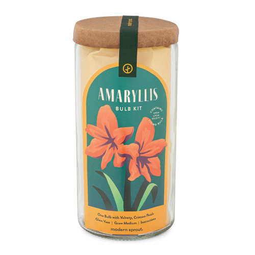 Host a Memorable Garden Harvest Party – Eartheasy | Eartheasy