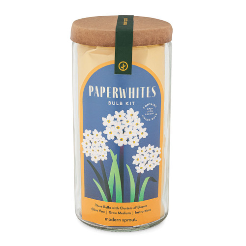 Paperwhites Winter Bulb Kit | Eartheasy.com