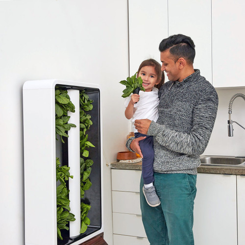 Energy Saving Light Bulbs – Eartheasy | Eartheasy