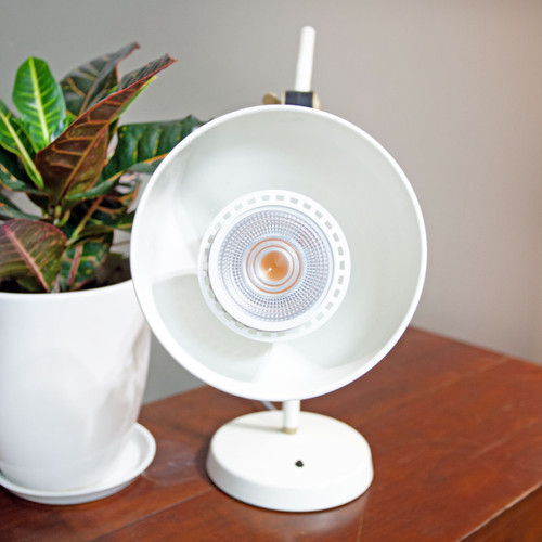 The Ultimate Guide to Indoor Houseplant Care – Eartheasy | Eartheasy