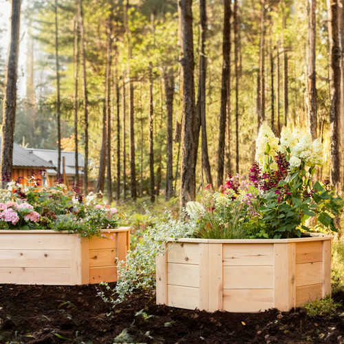 Natural Cedar Octagon Raised Beds | Eartheasy.com