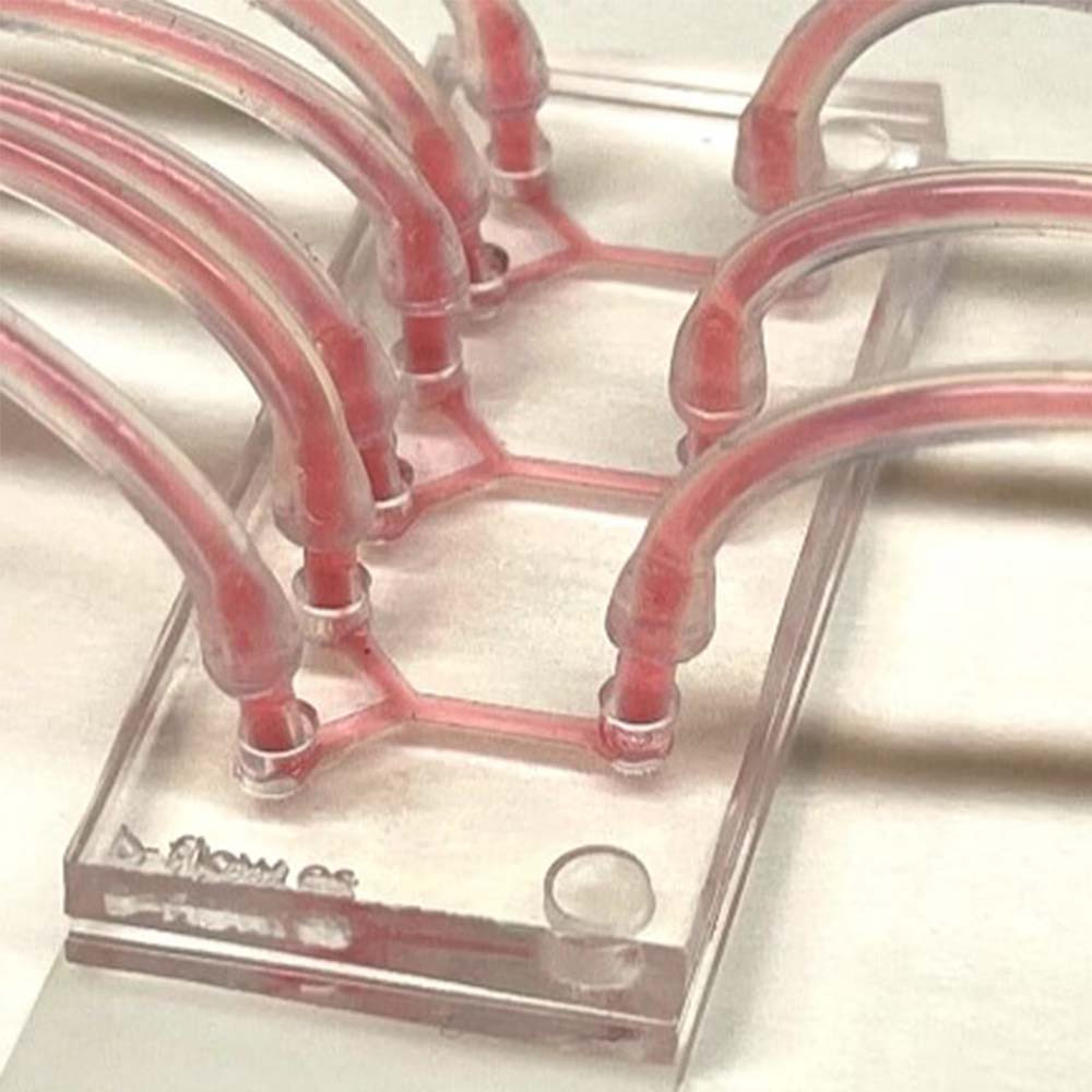 Multi-bifurcated Vessel-on-a-chip - Darwin Microfluidics