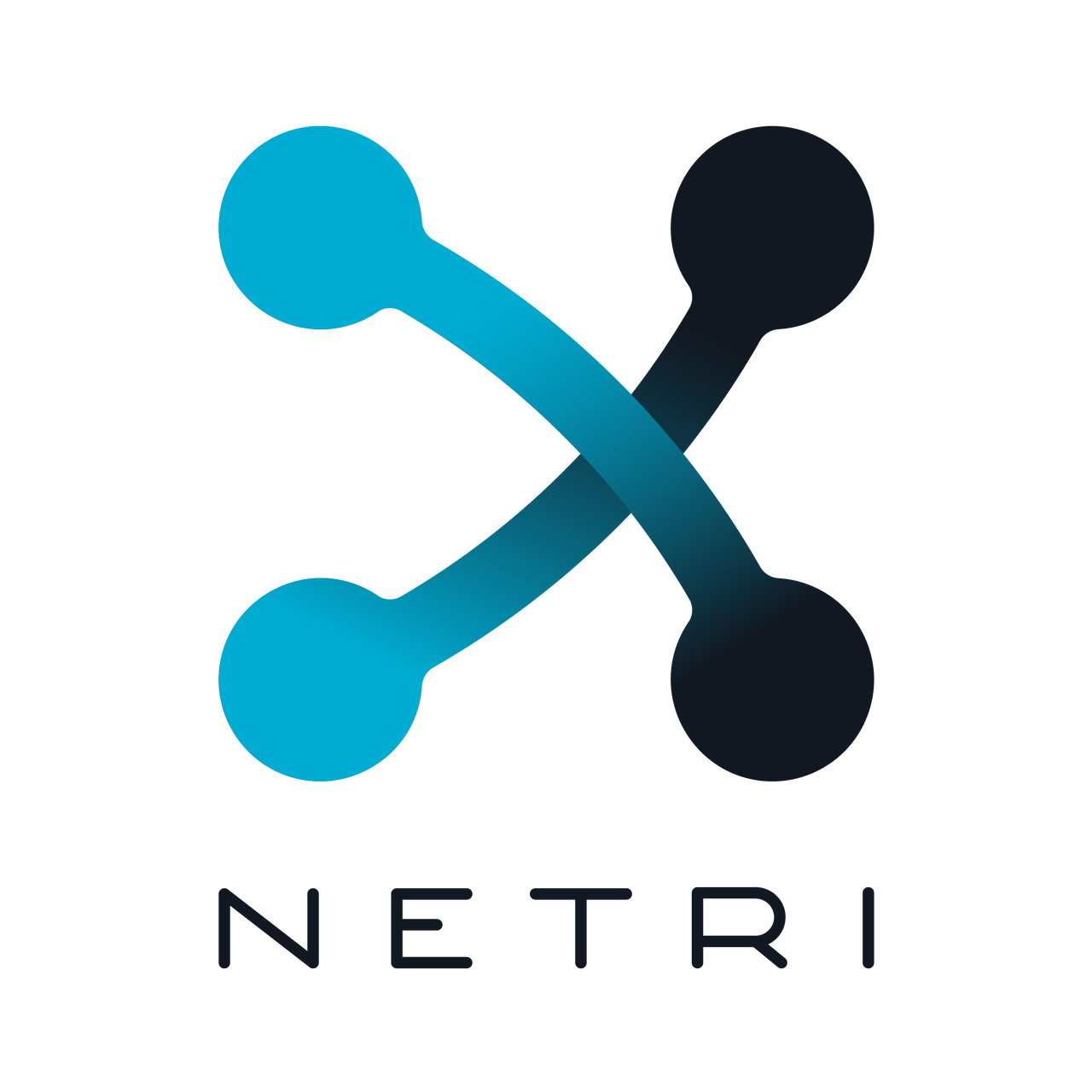 NETRI – Neurons-On-Chip for Neuroscience