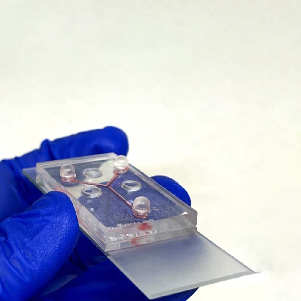Straight Press-in Plug - Darwin Microfluidics