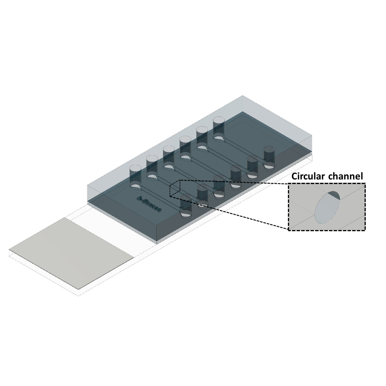 Multi-linear channel chips - Darwin Microfluidics