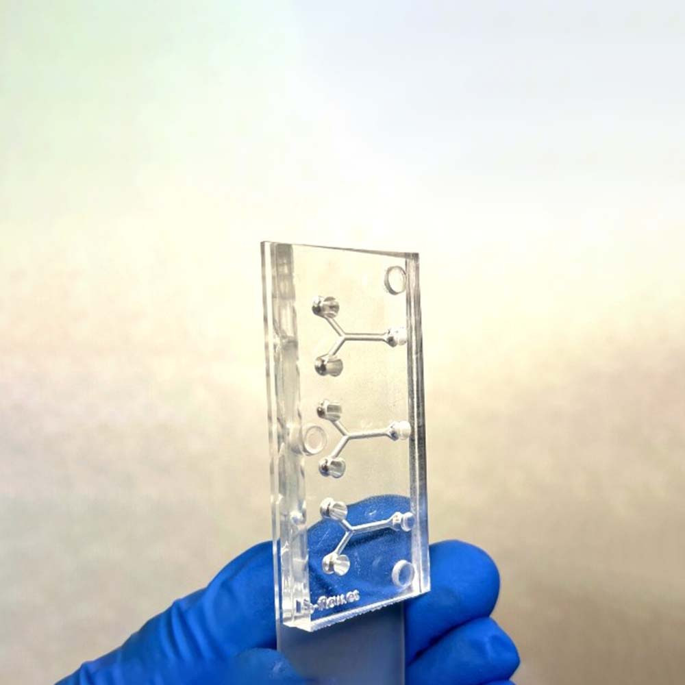 Multi-bifurcated Vessel-on-a-chip - Darwin Microfluidics