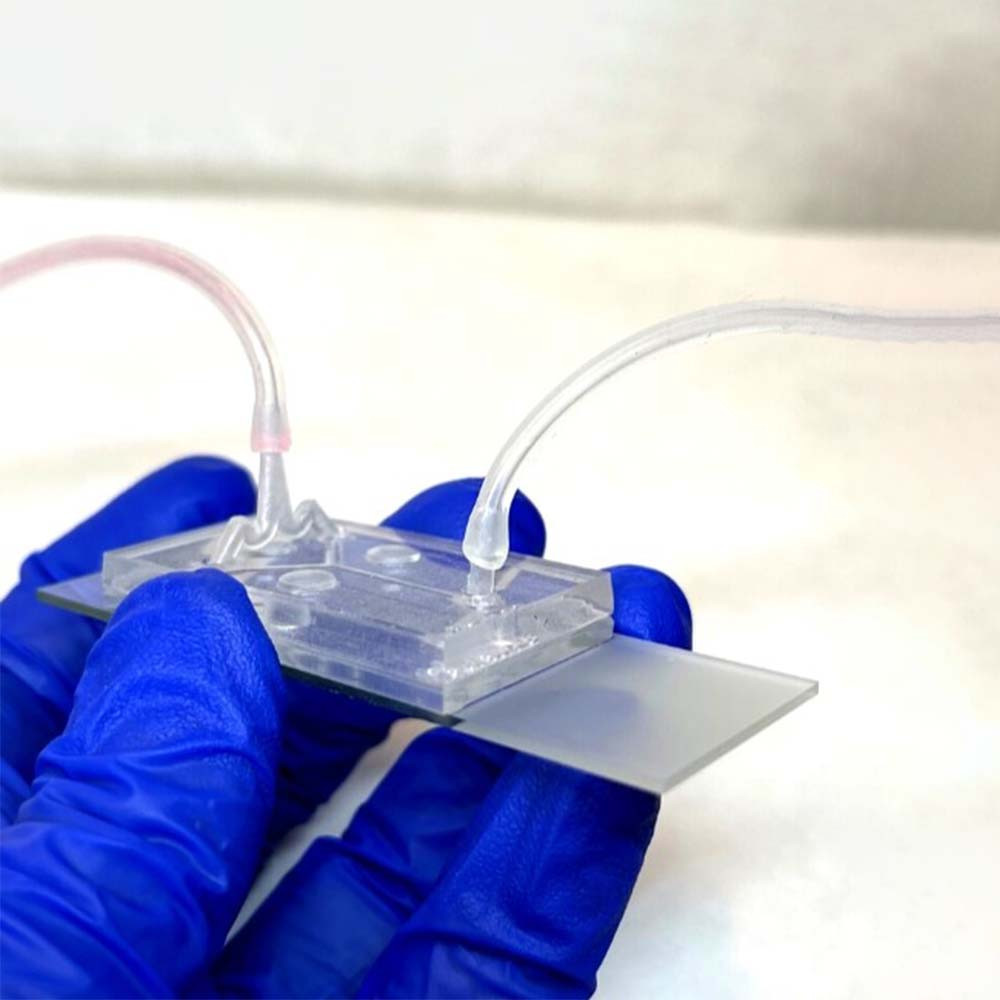 Straight Connector - Darwin Microfluidics