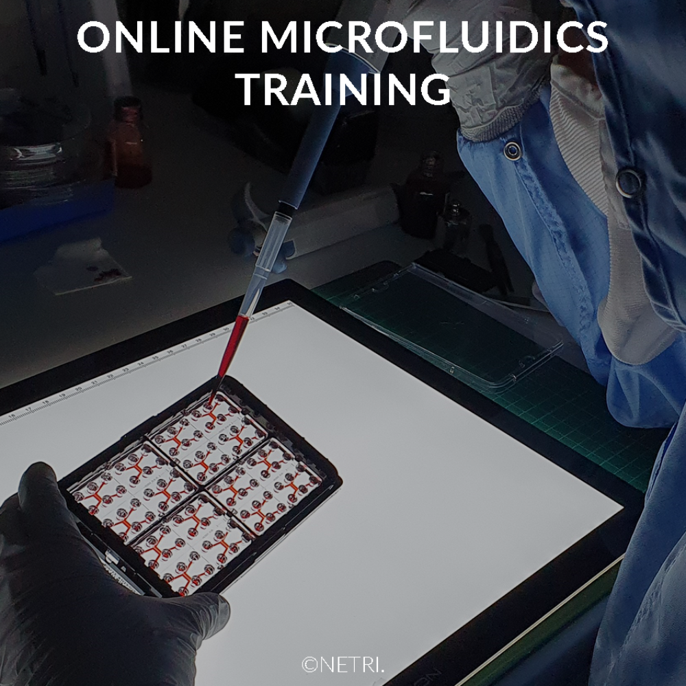 NETRI – Neurons-On-Chip for Neuroscience