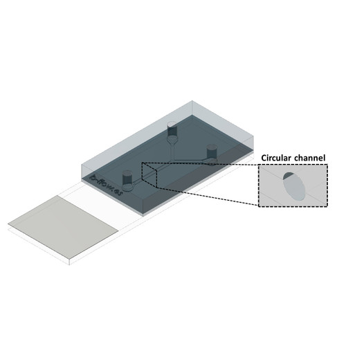 Bifurcated Vessel-on-a-chip - Darwin Microfluidics