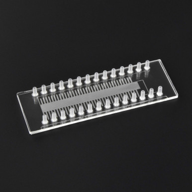 Meander Chip - Suitable for continuous-flow PCR Fluidic 65 - Darwin ...