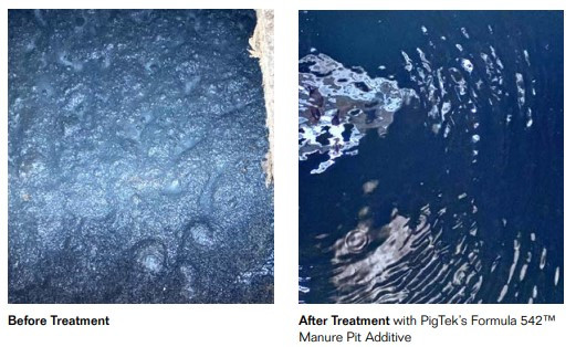 FORMULA 542® MANURE PIT ADDITIVE