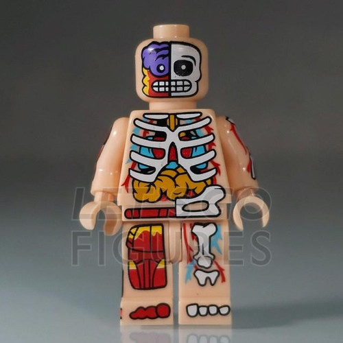 Human Anatomy Custom Figure - Lets Go Figures