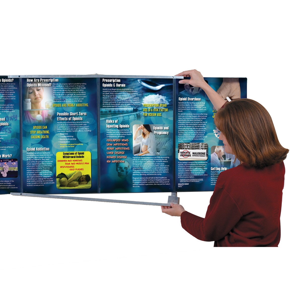 Folding Display Wall Hanger & Carrying Case