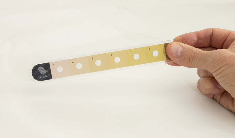 bili-ruler™ Icterometer Jaundice Screening Tool | Cascade Health Care