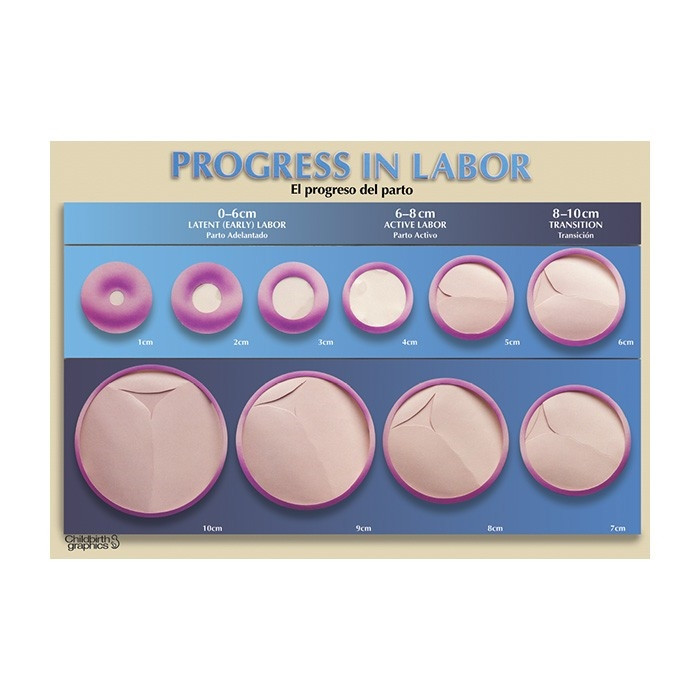 One-to-One Labor & Birth Chart Set No Sales Tax Cascade HealthCare