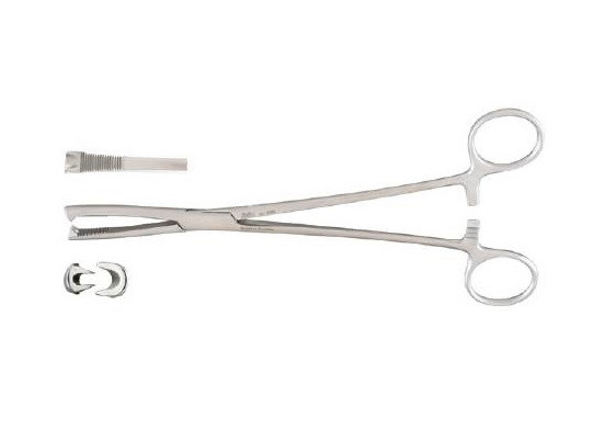 Vulsellum Forceps | Giant Forceps | Cascade Health Care