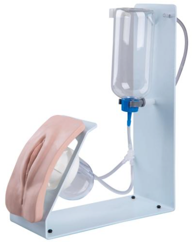 Infant, Female & Male Catheter Models and Simulators