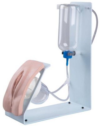 Infant, Female & Male Catheter Models and Simulators