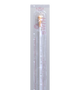 Amnicator® Amniotic Fluid Indicator Swabs | Amniotic Test