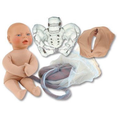 Childbirth Delivery Model Set with Cloth Pelvis | No Sales Tax ...