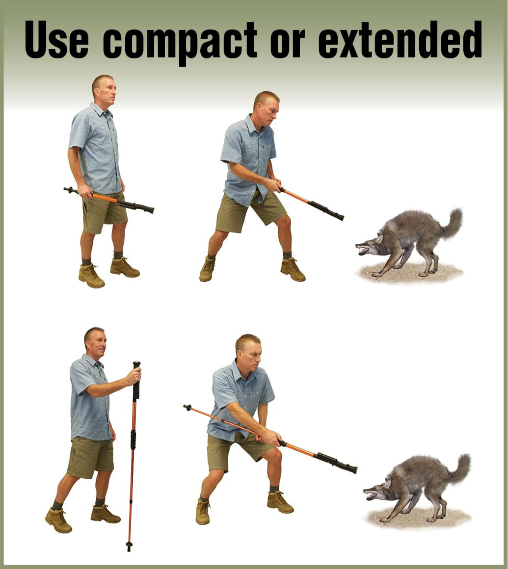 ZAP Hike n' Strike Stun Gun Hiking Staff | Stun Guns