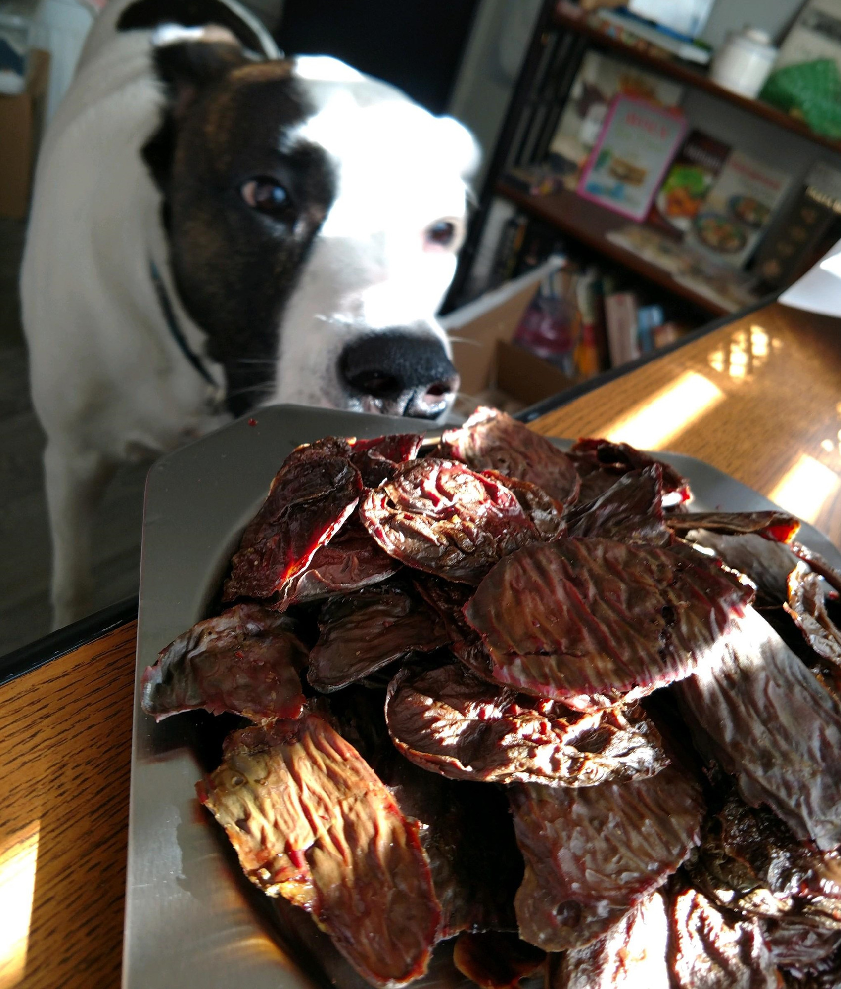 Handmade dehydrated chicken liver jerky treats made by Barksize Bites ...
