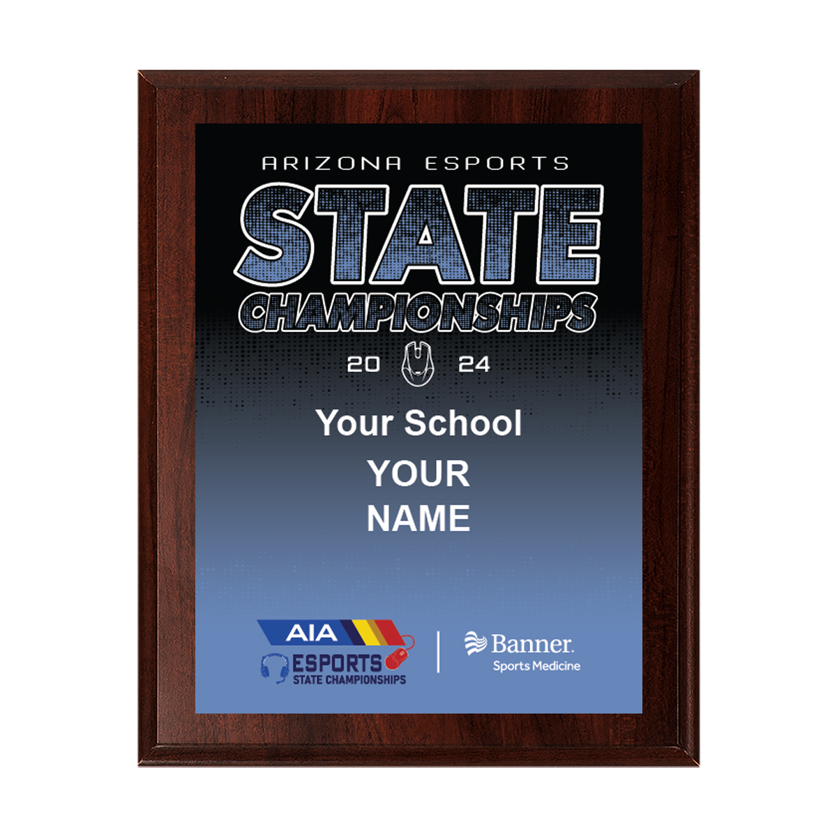 2024 AIA eSports State Championships 8x10 Plaque
