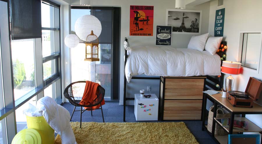 Ace Your Space With Dorm 101 - DOWNLITE