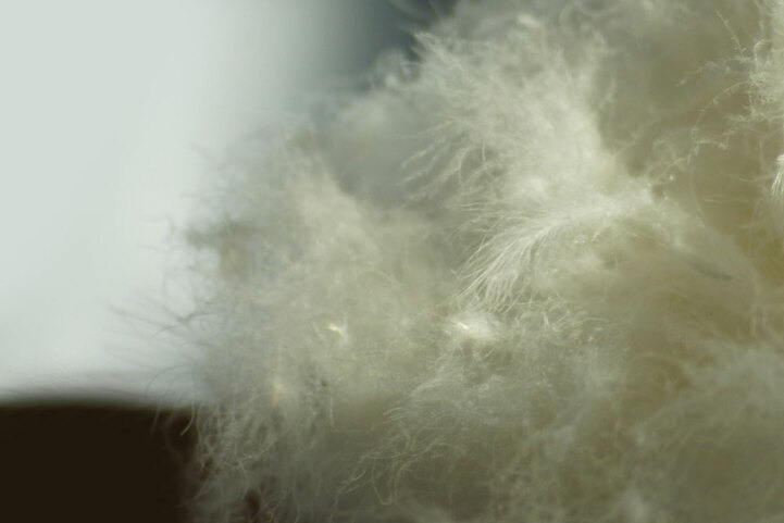 Why Are There Dark Spots on My Comforter? (Flecking, explained) - DOWNLITE