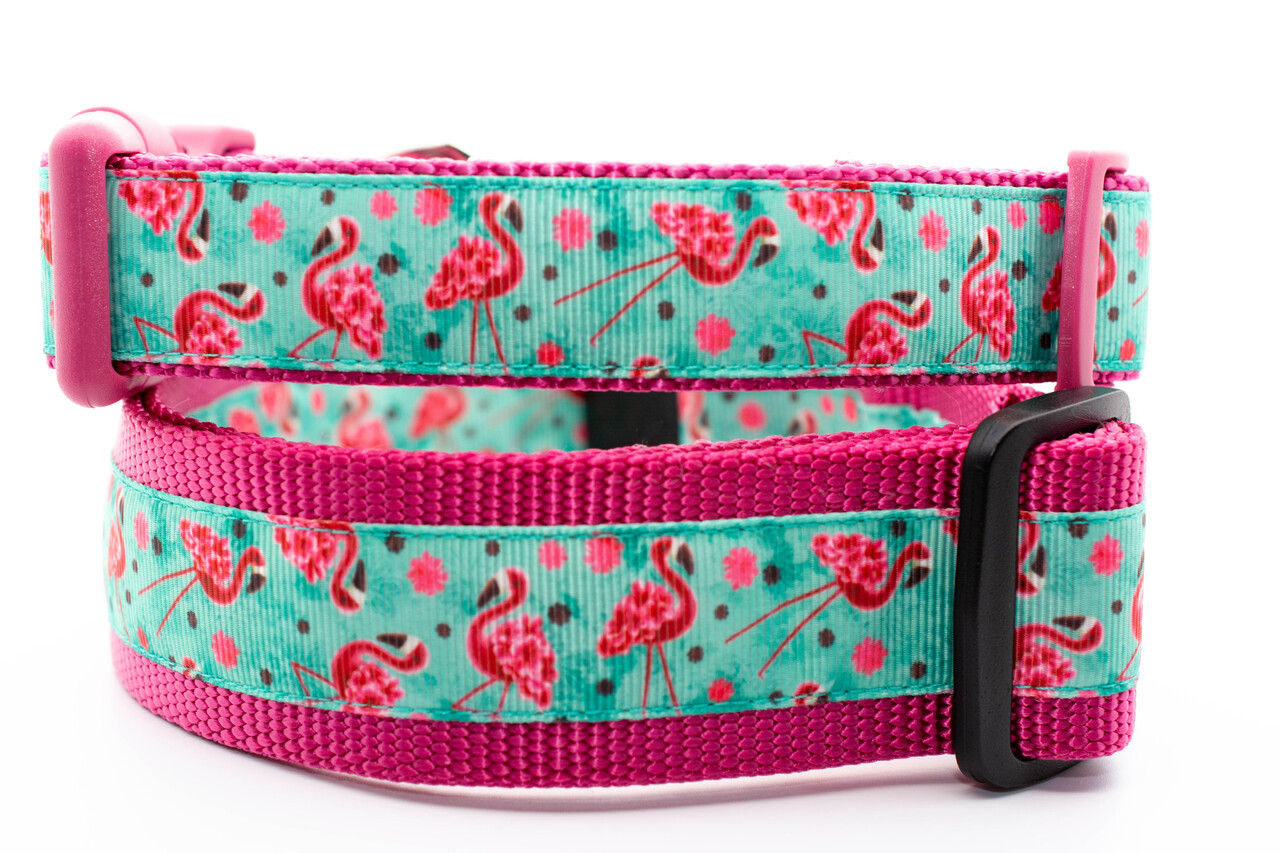 Flamingo Parade Dog Collar