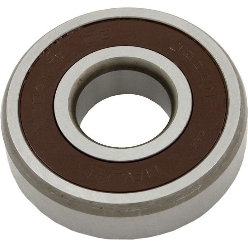 Pump Motor Bearings