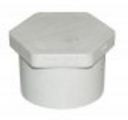 Coleman Spa 2 Inch Slip Coupler 100449 Coupling