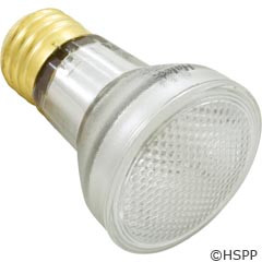 Pool Light Bulb R20 Flood Lamp 100W 60W Halogen 120V HP16NFL60-120
