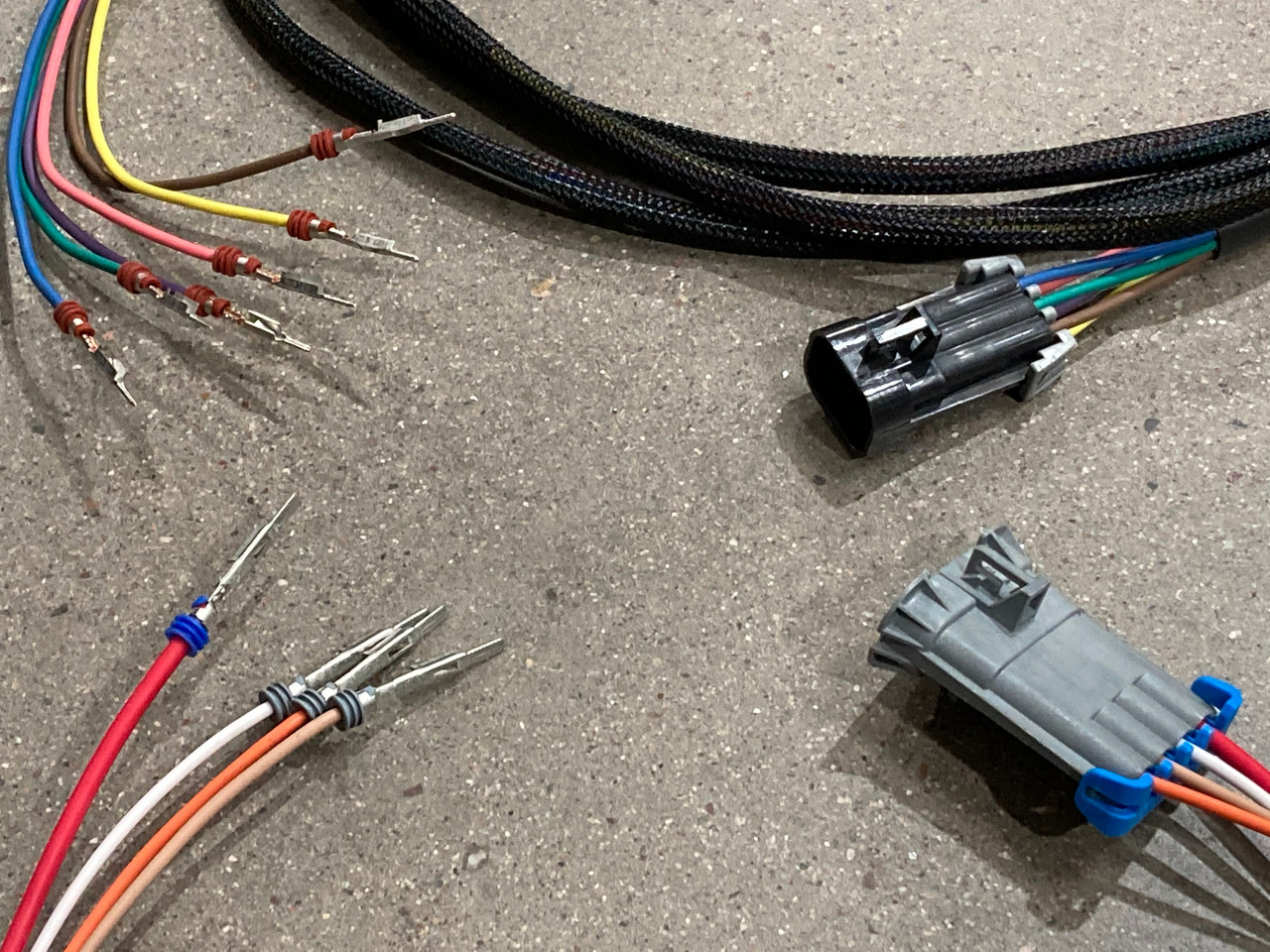 Chassis Wire Harness