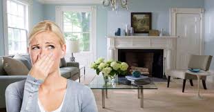 Eliminating The Worst Smells In Your Home - filtersdelivered.com