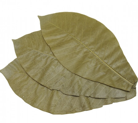 Green Hoba Leaves for Cookingwith Miso 50pcs