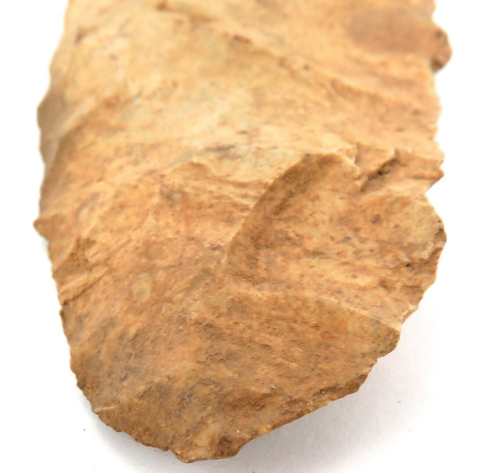 ARCHAIC PALEO NATIVE AMERICAN INDIAN CADDO CADDOAN STONE FISH SCALER.
