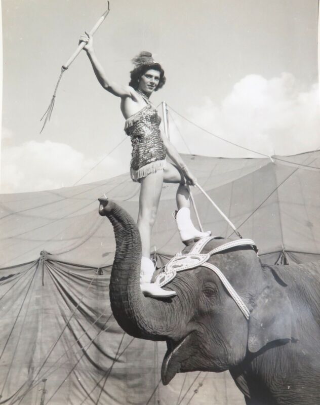 RARE 1949 Performing Circus Elephants Large Photograph. #8 - Harrington ...