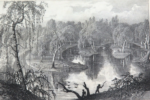 RARE 1838 ORIGINAL LITHO EX “THREE EXPEDITIONS AUSTRALIA” MAJOR T L ...