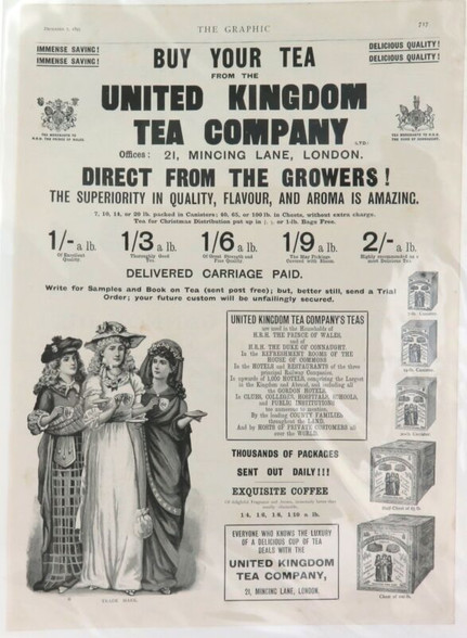 1895 Large Advert ex The Graphic “United Kingdom Tea Company ...