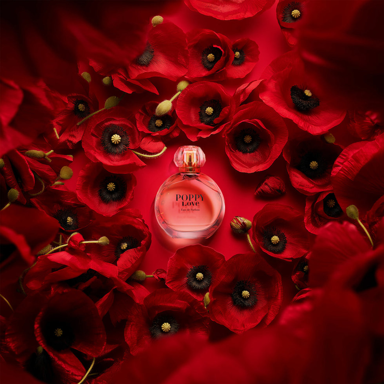Poppy Love | Black Opium Dupe Perfume | Regency Fragrances Ireland